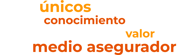 Copsis.COM - Desarrollamos sistemas para el ramo de seguros en México.